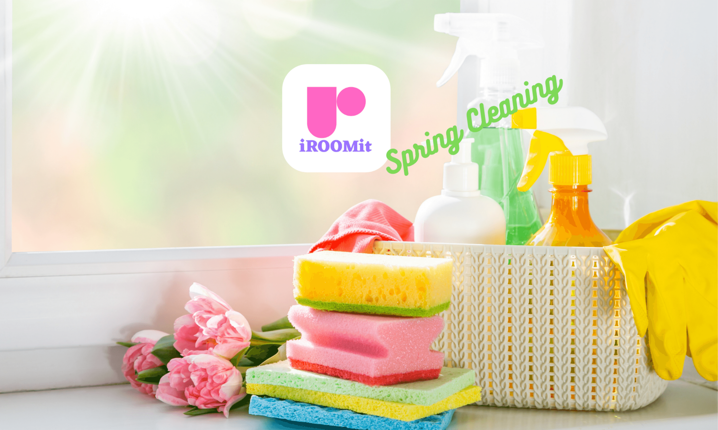 Top 10 Spring Cleaning Tips in 2023 | iROOMit Blog
