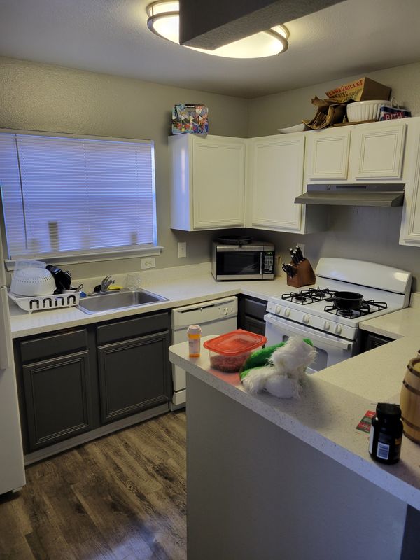 Javarus Has an Apartment $1,100/mo on iROOMit
