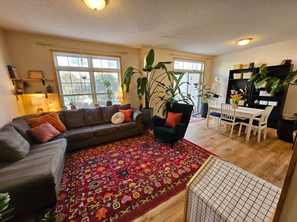 Jordan Hesse on iROOMit