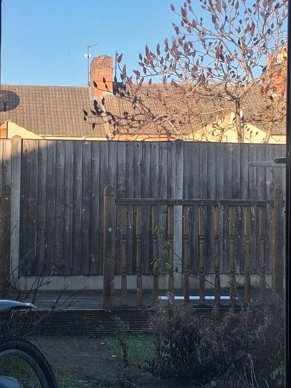 Hossein Needs a House, $600/mo Max on iROOMit